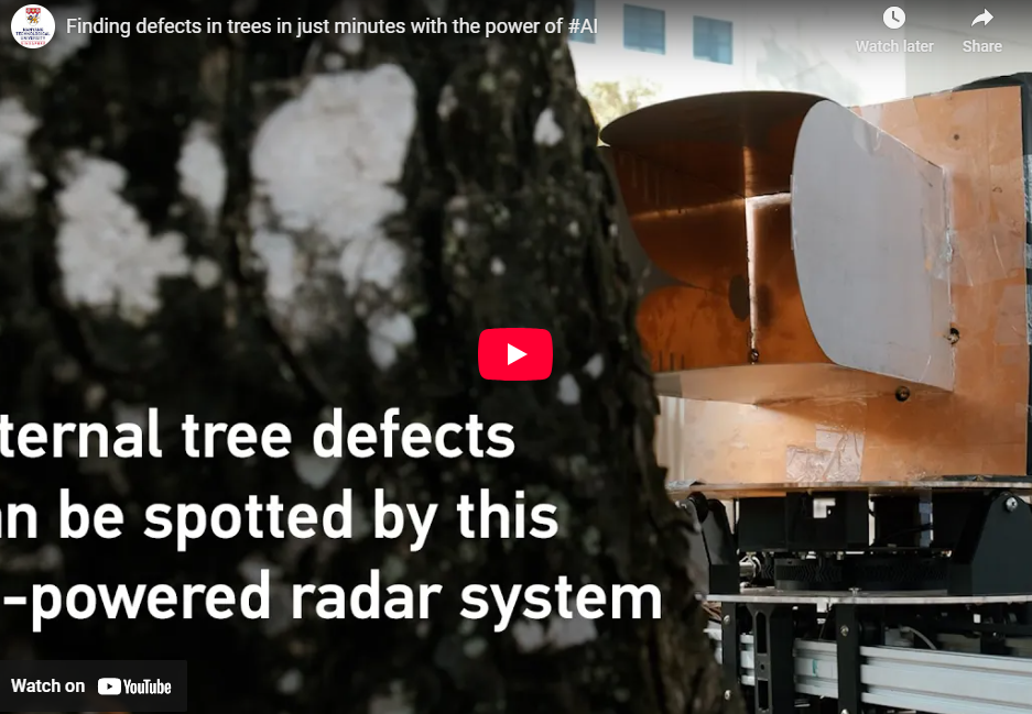 AI-powered innovation being developed to detect tree trunk decay | Times Higher Education
